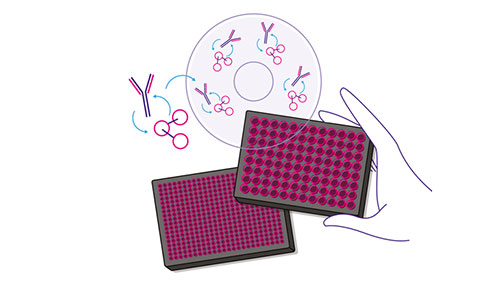 Assay Kits | Danaher Life Sciences