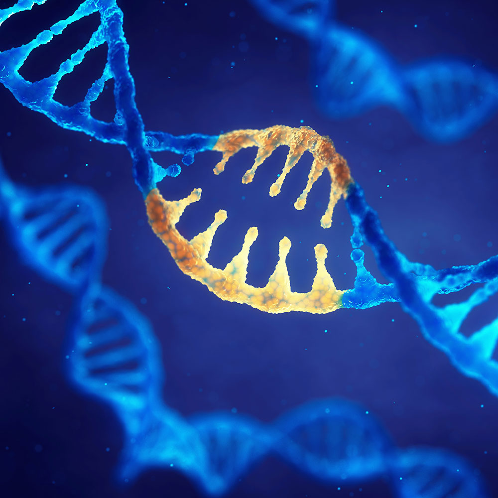 Gene Therapy Workflow Solutions & Services | Danaher Life Sciences