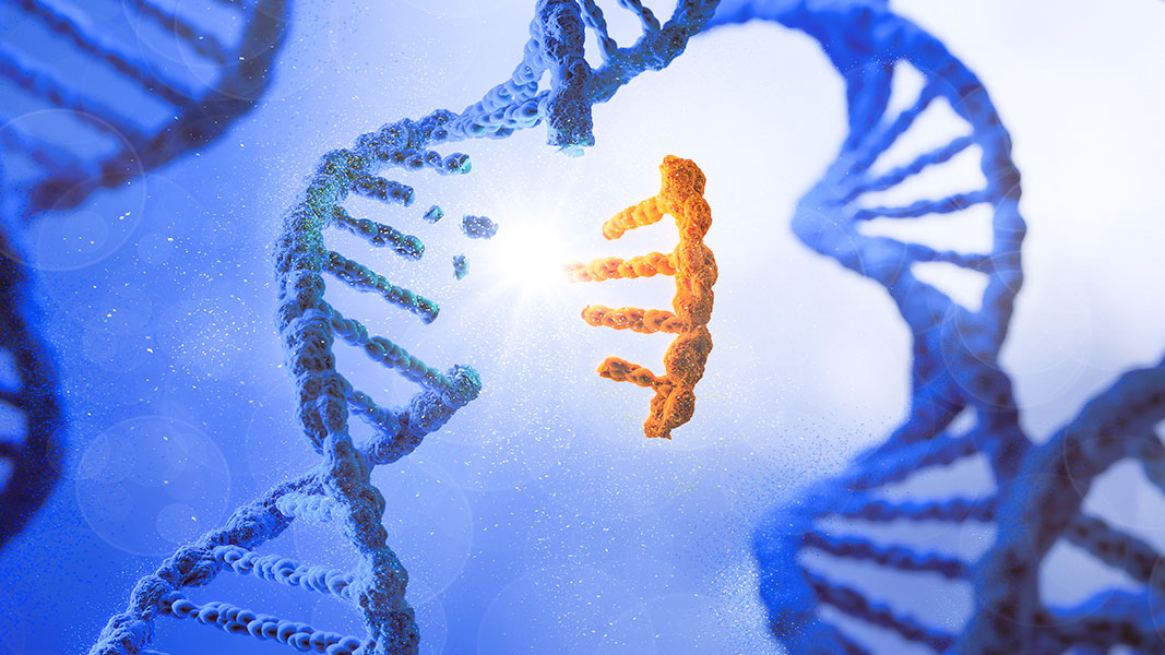 Gene Therapy | Danaher Life Sciences