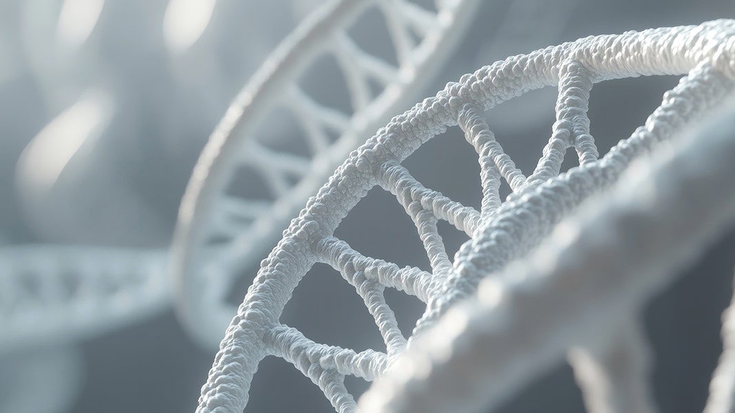 Designing Plasmid Libraries for Biologics