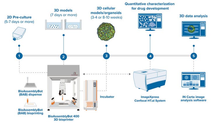 Automating Bioprinting: Molecular Devices & Advanced Solutions | Danaher Life Sciences