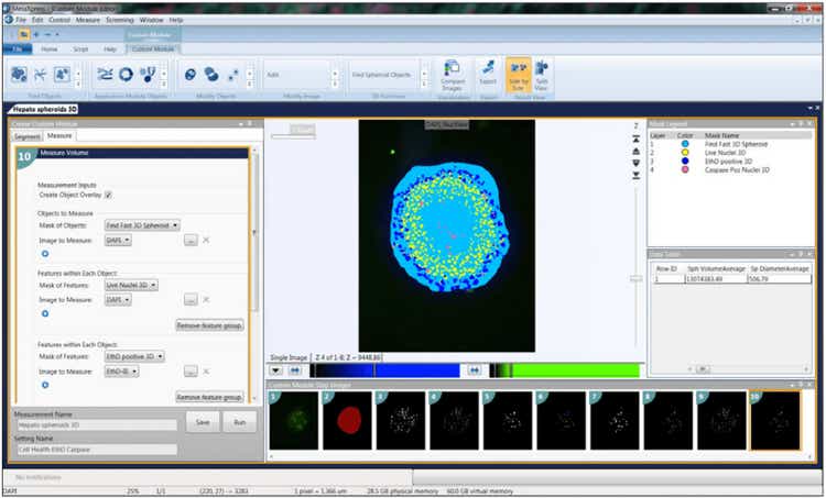 7 Tips for Optimizing your 3D Cell Imaging and Analysis Workflow ...