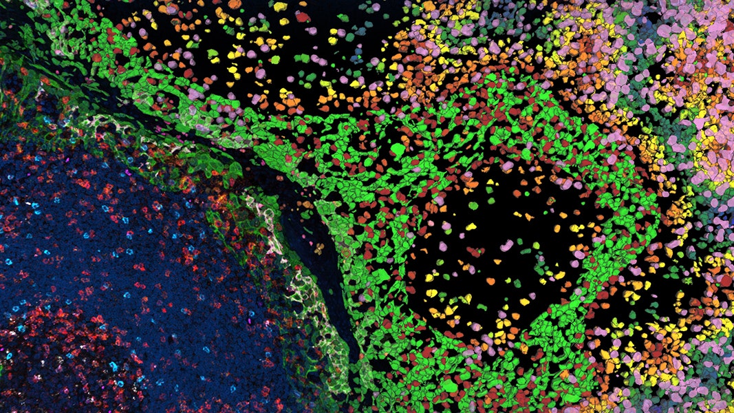 Enhance Efficiency & Quality of Advanced Imaging & Analysis | Danaher ...