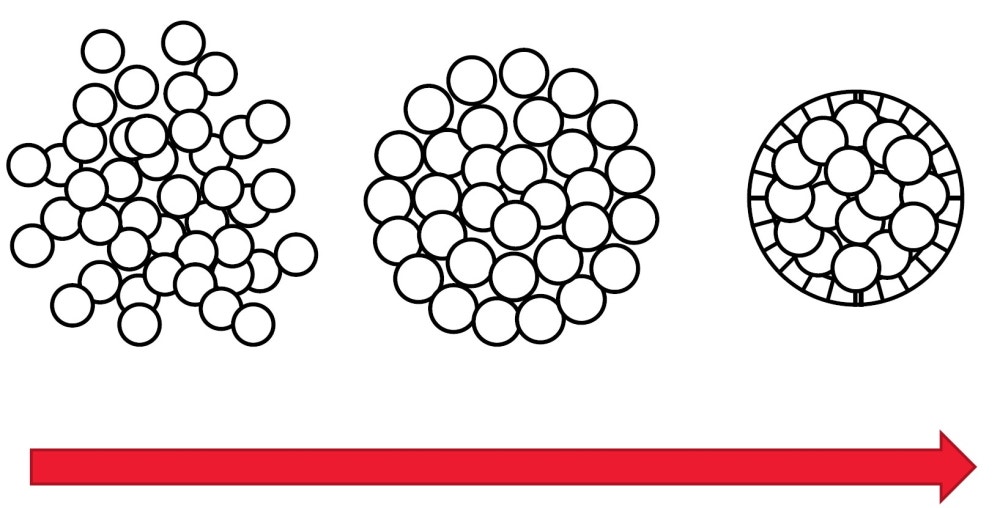 Efficient Long-term Time-lapse Microscopy | Danaher Life Sciences