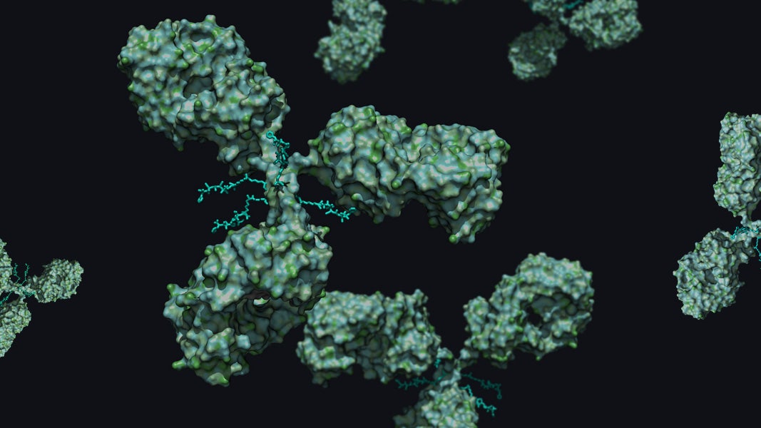 Native RP Chromatography in ADC Characterization | Danaher Life Sciences