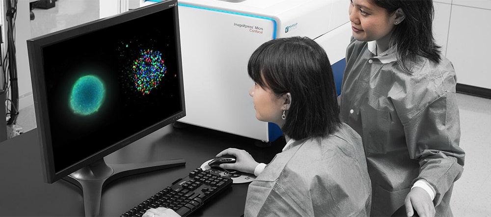 7 Tips for Optimizing your 3D Cell Imaging and Analysis Workflow ...