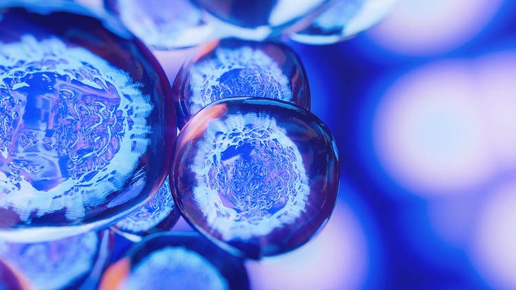 Stem Cells: Overview, Research, Types & Applications | Danaher Life ...