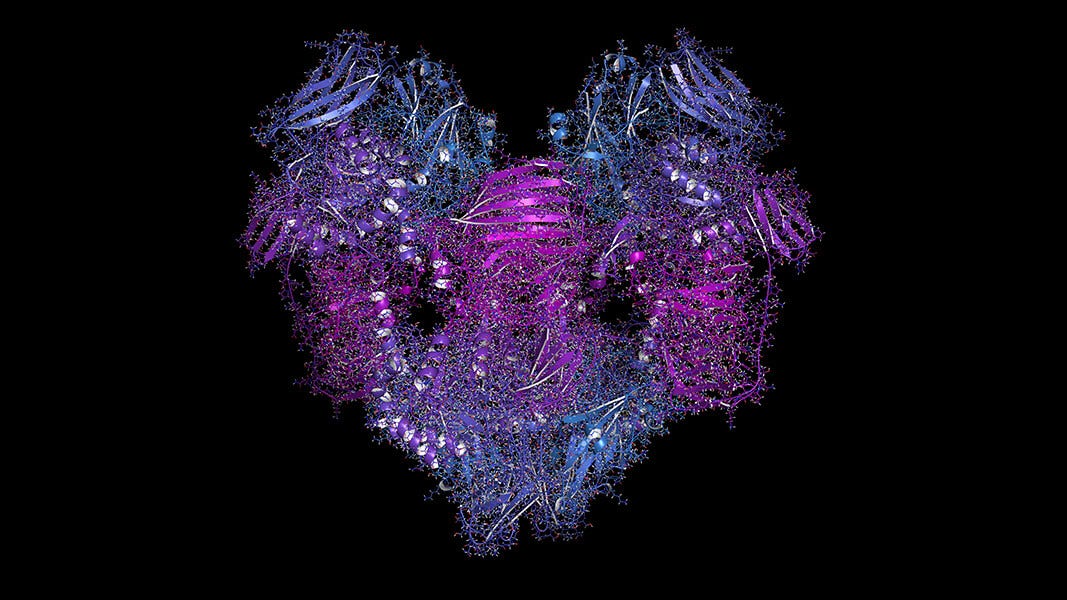 Reporter Gene Overview: Assay Applications, Types & Technology ...