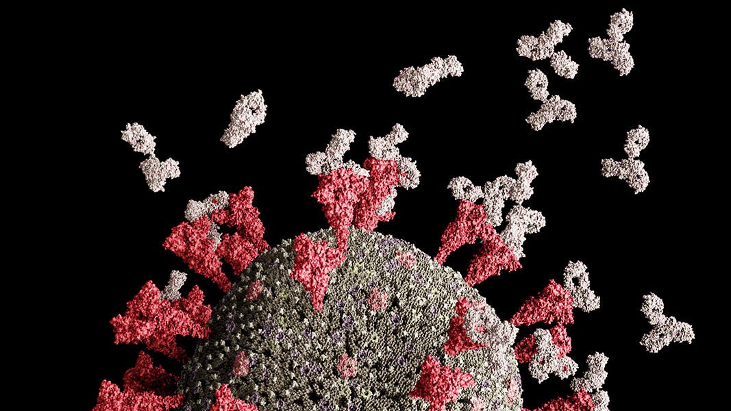 Host Cell Proteins (HCPs) Analysis | Danaher Life Sciences