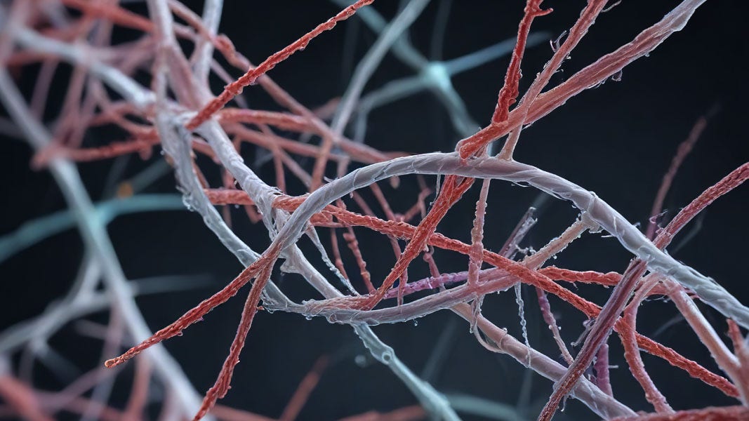 Extracellular Matrix: Structure, Function & Medical Role | Danaher Life ...