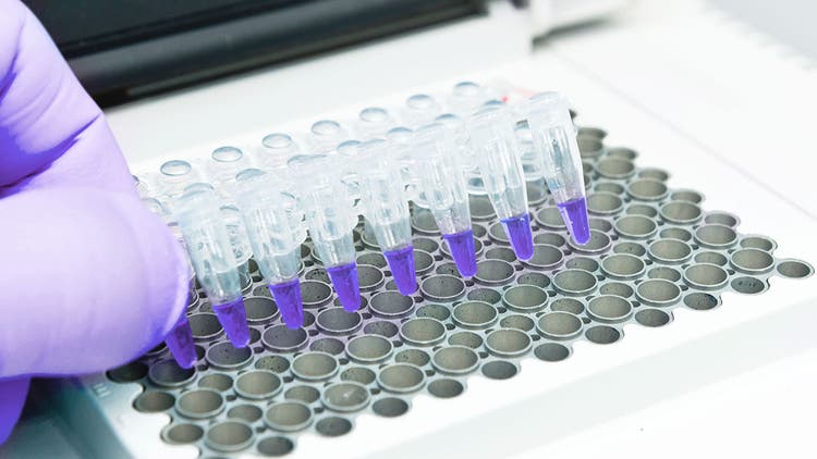 Oligonucleotide Synthesis Danaher Life Sciences
