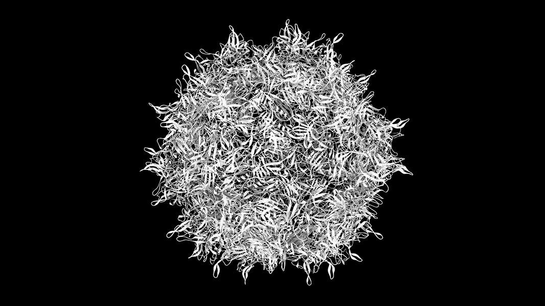 Adeno-associated Virus (AAV): Structure, Vector, Gene Therapy, & Future ...