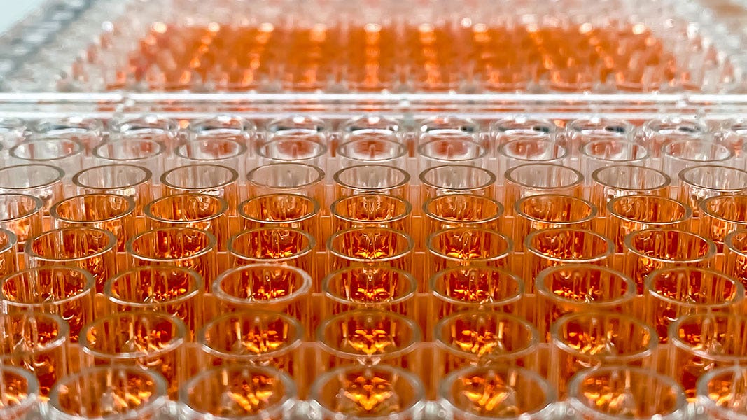 Understanding Cell Viability: Measurement, Importance & Assays ... Understanding Cell Viability: Measurement, Importance & Assays ...