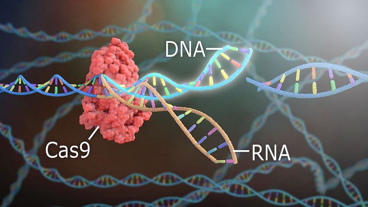 CRISPR-Cas9 and Gene Editing | Danaher Life Sciences