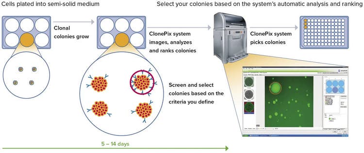 ClonePix 2 - Mammalian Colony Picker | Danaher Life Sciences