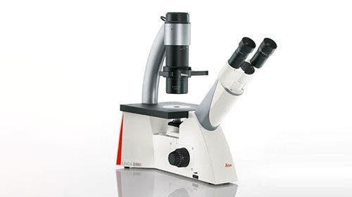 Inverted Microscopes for Superior Imaging & Analysis | Danaher Life ...