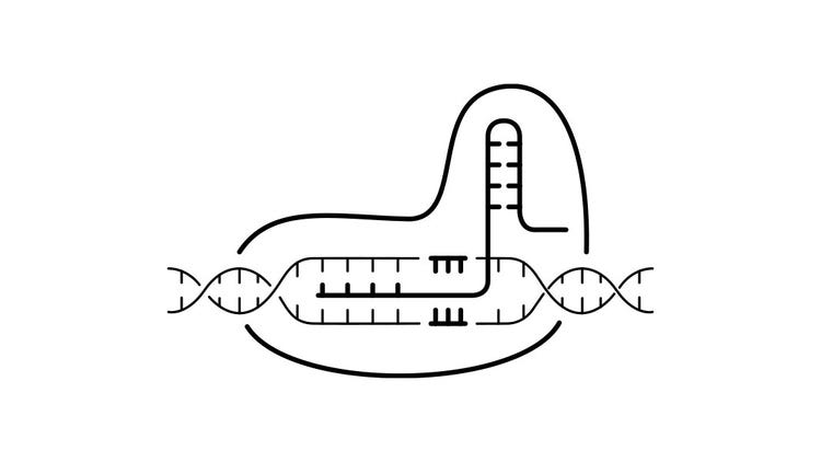 CRISPR-Mediated Gene Therapy Process Steps | Danaher Life Sciences