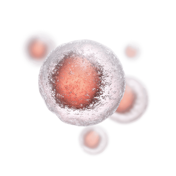 Cell Line Development (CLD) - Workflow Optimization Solutions | Danaher ...