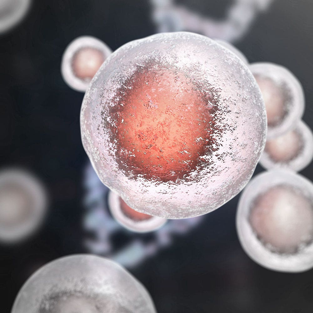 Cell Line Development (CLD) - Workflow Optimization Solutions | Danaher ...