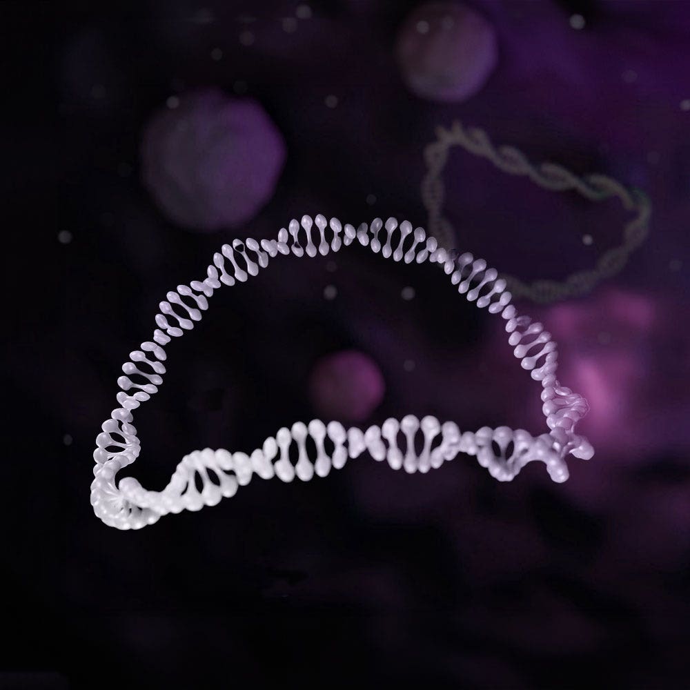 Plasmid DNA (pDNA) Development and Manufacturing Solutions | Danaher Life Sciences