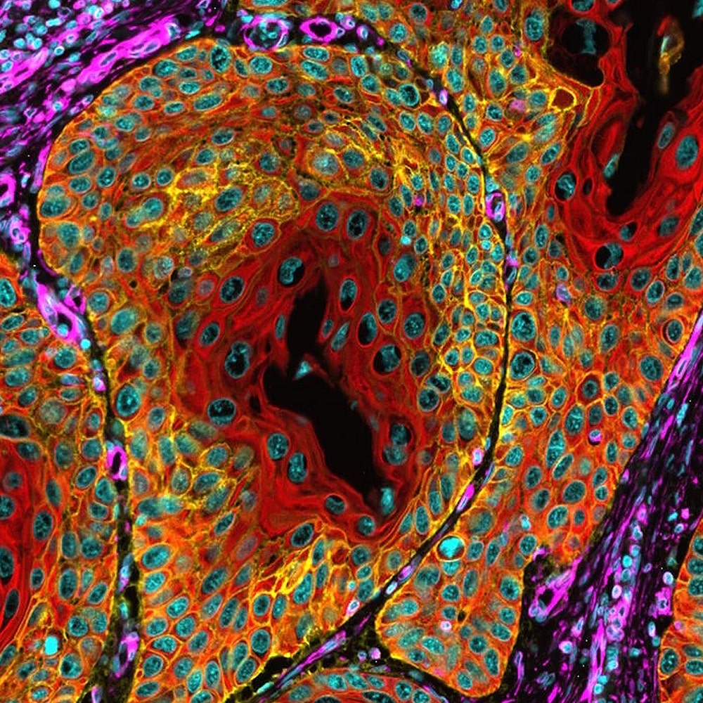 AI & Machine Learning in Life Sciences | Danaher Life Sciences