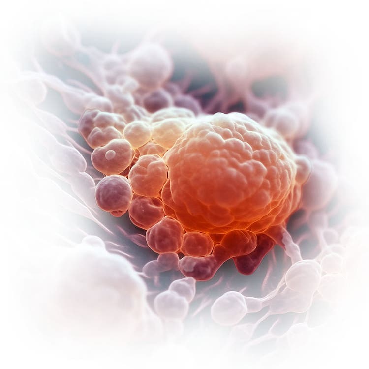 Small Molecule Drug Development | Danaher Life Sciences