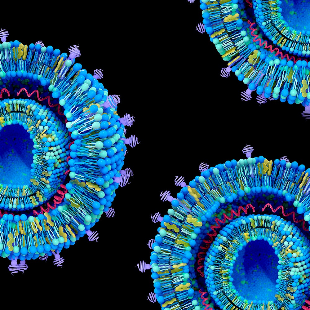 Lipid Nanoparticles (LNPs) – Workflow | Danaher Life Sciences